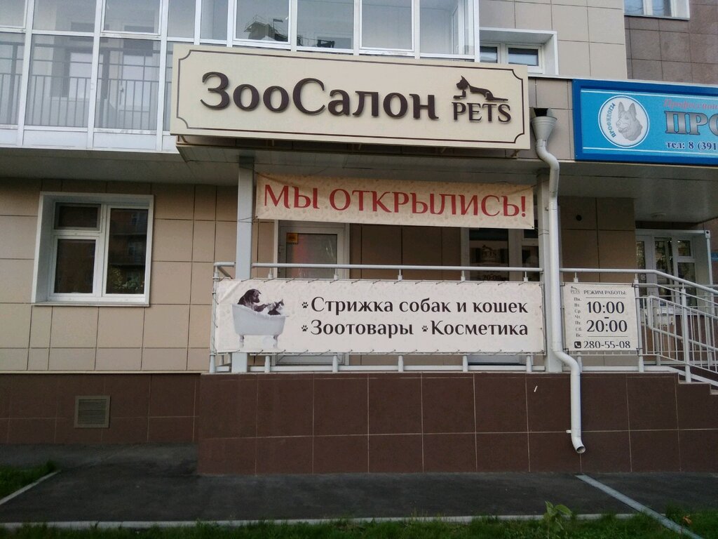 Evcil hayvan kuaförleri Pets, Krasnoyarsk, foto