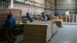 Industrias Pallets Srl (Comunidad Autónoma de Extremadura, Cáceres, Calle Pocito, 7), medikal cihaz firmaları