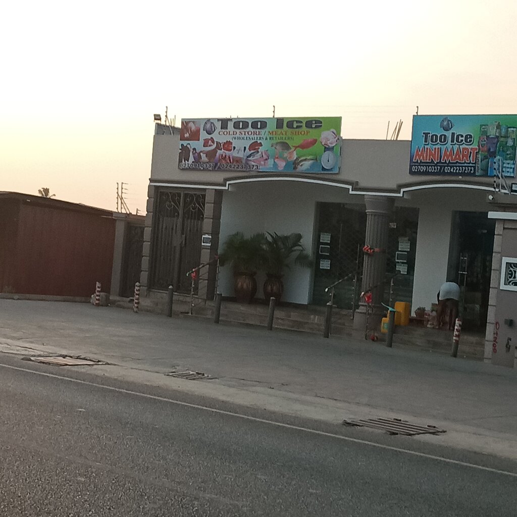 Dondurulmuş gıda firmaları Too ice cold store, Dünya, foto