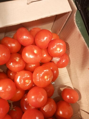 Süpermarket Magnit, Voronejskaya oblastı, foto