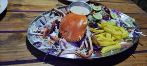 Gecko Restaurant (Goa, North Goa County, Pernem Subdistrict, Town of Arambol), restoran  Goa'dan