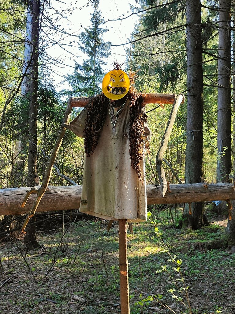 Piknik alanı Лисья гора, Moskova ve Moskovskaya oblastı, foto