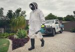 Pro Star Pest Control (Bayan Building, Dubai Investments Park 1, Jebel Ali, Dubai), haşere ilaçlama firmaları  Dubai'den
