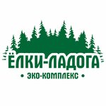 Elki-Ladoga (No:24, posyolok Rantue), resort oteller, tesisler  Karelya Cumhuriyeti'nden