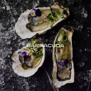 Barracuda Lounge Bar (ulitsa Kombriga Patolicheva No:32В, Dzerzhinsk), restoran  Dzerjinsk'ten