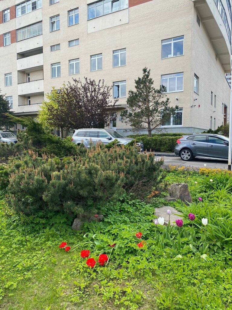 Patent büroları Yakshin and partners, Moskova, foto