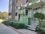 Zelenaya (Karbyshev kóshesi No:5), eczaneler  Kostanay'dan