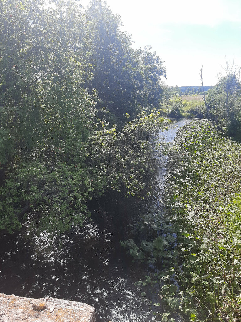 Turistik yerler Мост грустного дедушки, Permski krayı, foto