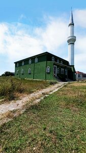 Mehmet Zahit Kotku Cami (İstanbul, Arnavutköy, Hacımaşlı-Haraççı Cad., 34), cami  Arnavutköy'den
