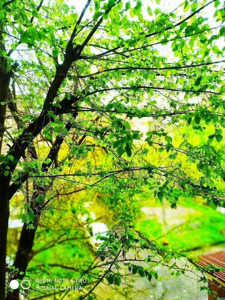Kısa süreli konaklama Central Penthouse Navigator, Taşkent, foto