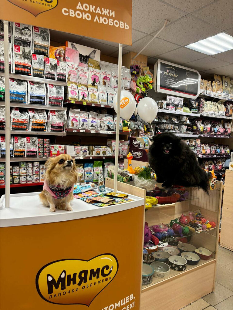 Petshop Лапки & Коготки, Saint‑Petersburg, foto