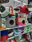 Pet Shop (Bukhara), petshop  Buhara'dan