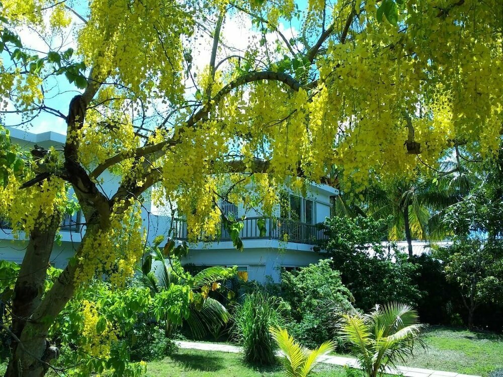 Otel Cap Heureux Villas, Dünya, foto