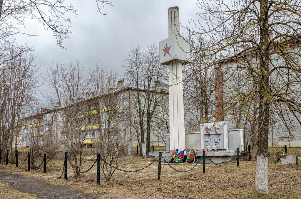 Anıt, heykel Воинам-односельчанам, погибшим в годы Великой Отечественной войны, Kirovskaya oblastı, foto