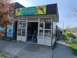 The color store (No:4/4, Asar yqsham aýdany), çiçekçiler  Çimkent'ten (Şımkent'ten)