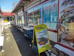 Рыбное местечко (Amineva Street No:33/2), balık ve deniz ürünleri  Samara'dan