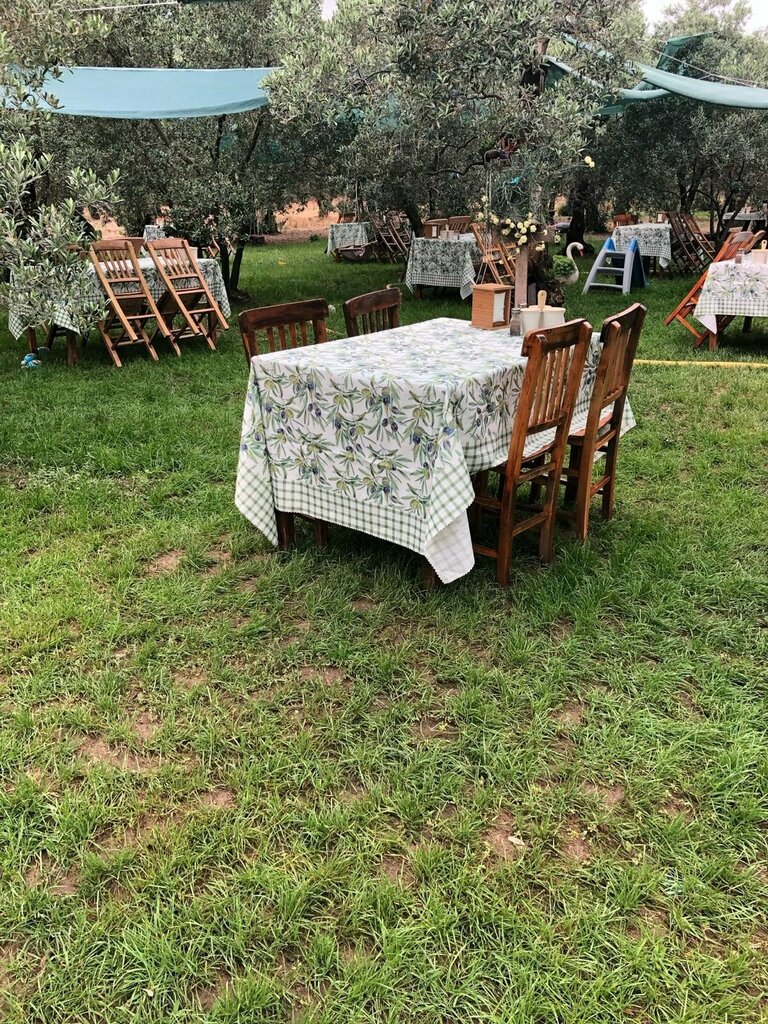 Restoran Zeytin Dalı Kır Kahvaltısı, Erdek, foto