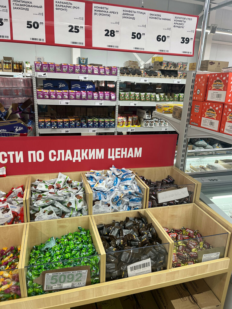 Market V1-Pervyj vybor, Bronnitsy, foto