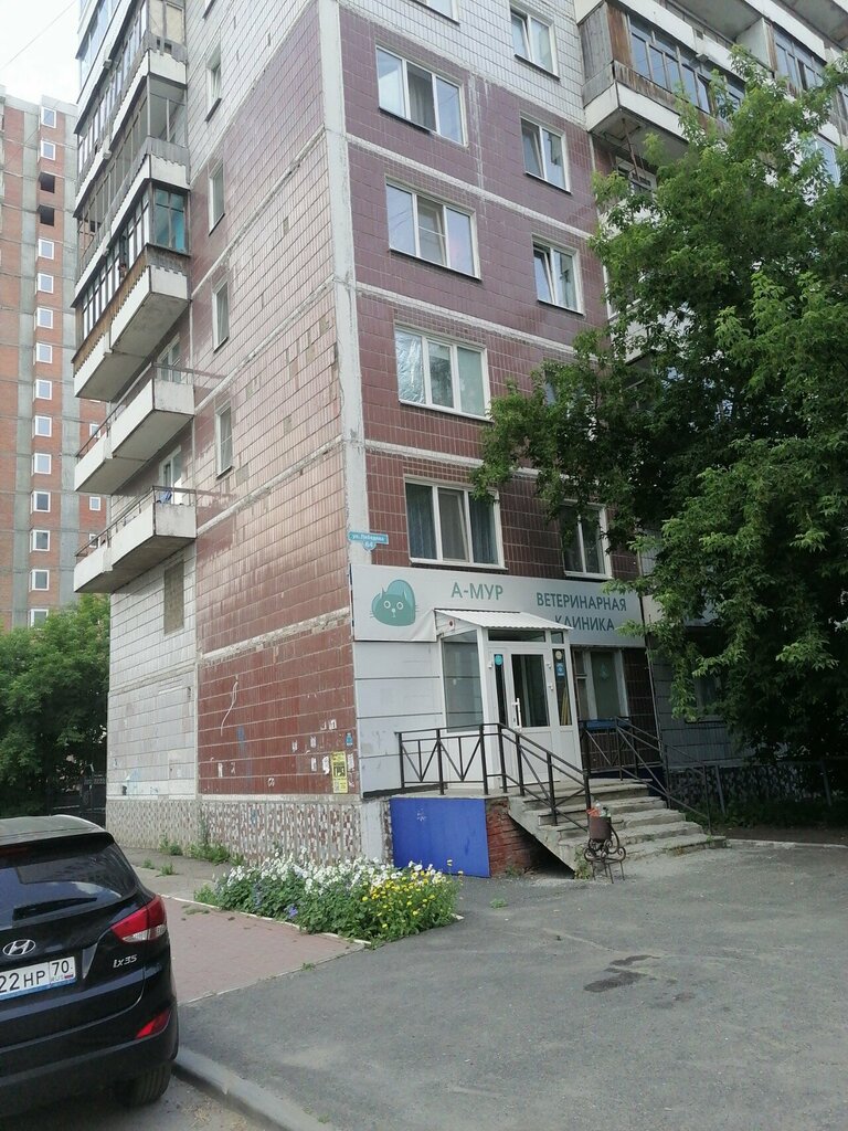 Konuşma terapistleri Tsentr razvitiya i korrektsii rechi, Tomsk, foto