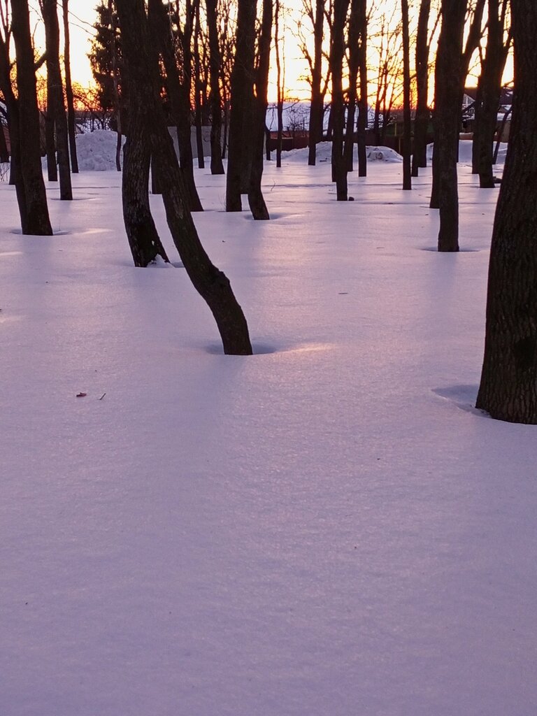 Kültür ve eğlence parkları Дубовый парк, Yaroslavskaya oblastı, foto