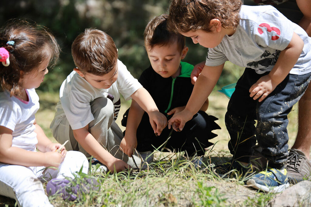 Eğitim merkezleri Özel Patika Dil Kişisel Gelişim Kursu, Kayseri, foto
