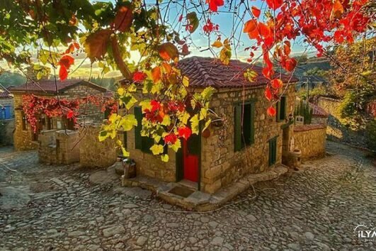 Seyahat acenteleri Homeros İlyada Seyahat Acentesi, Ayvacık, foto