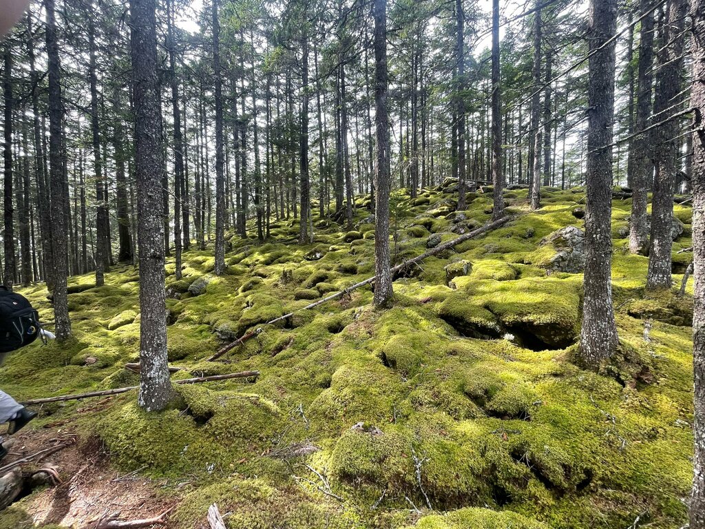 Dağ zirvesi Гора Маглой, Habarovski krayı, foto