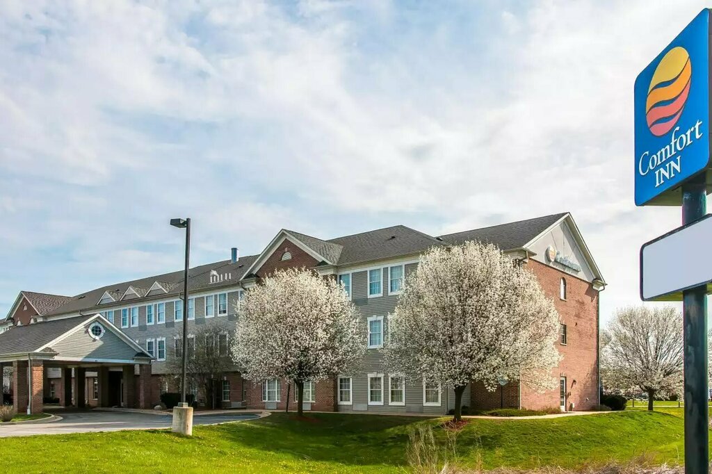 Otel Comfort Inn Chelsea Mi, Chelsea, foto