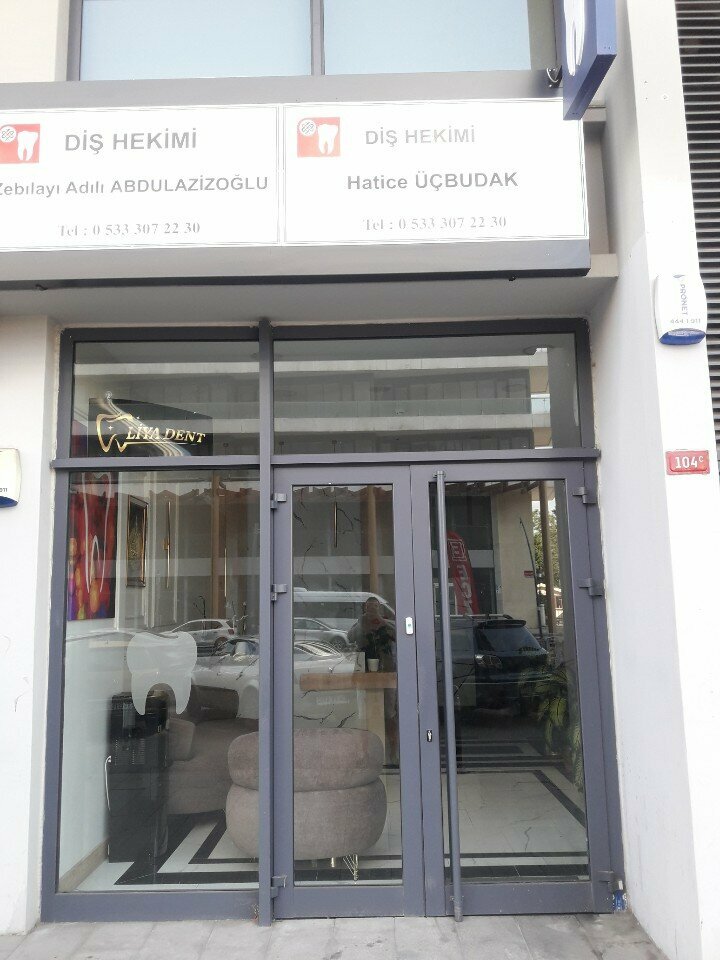Özel ağız ve diş sağlığı klinikleri ve muayenehaneleri Liya Dent, İstanbul, foto