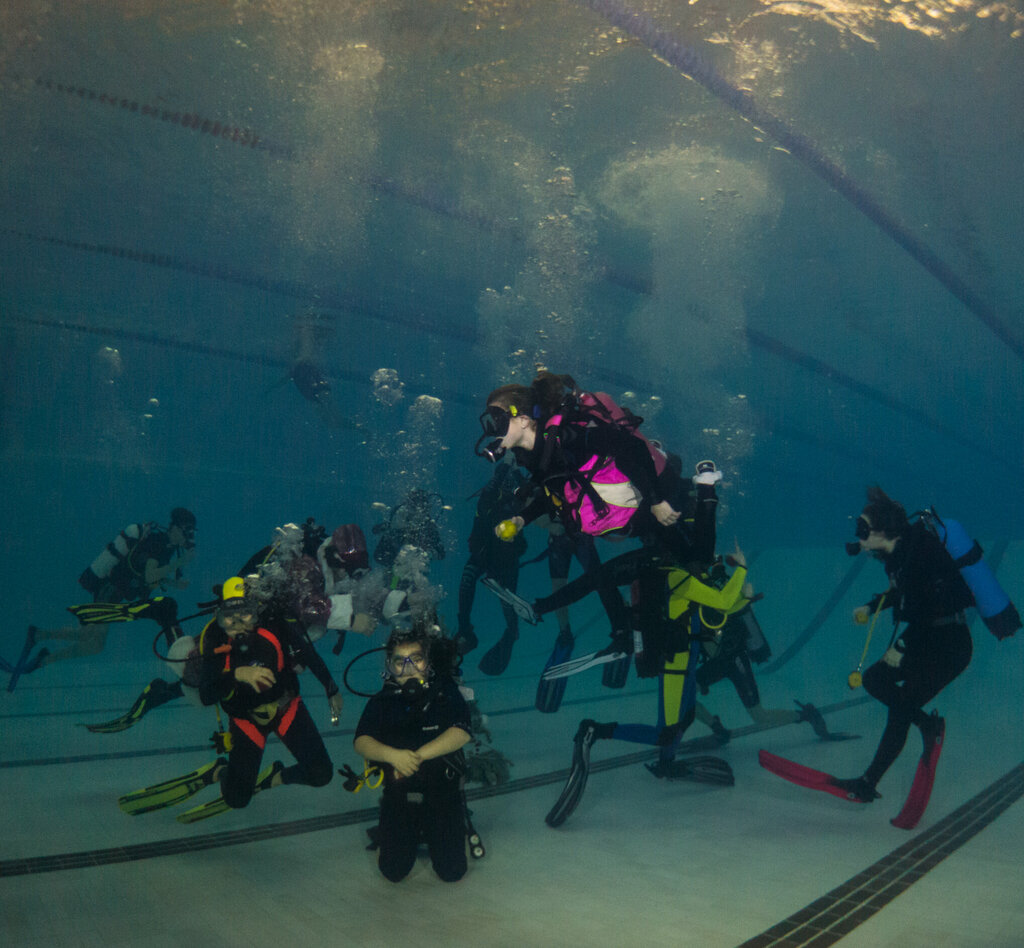 Dalış kulüpleri ve eğitim merkezleri ДайверёнОК, Moskova, foto