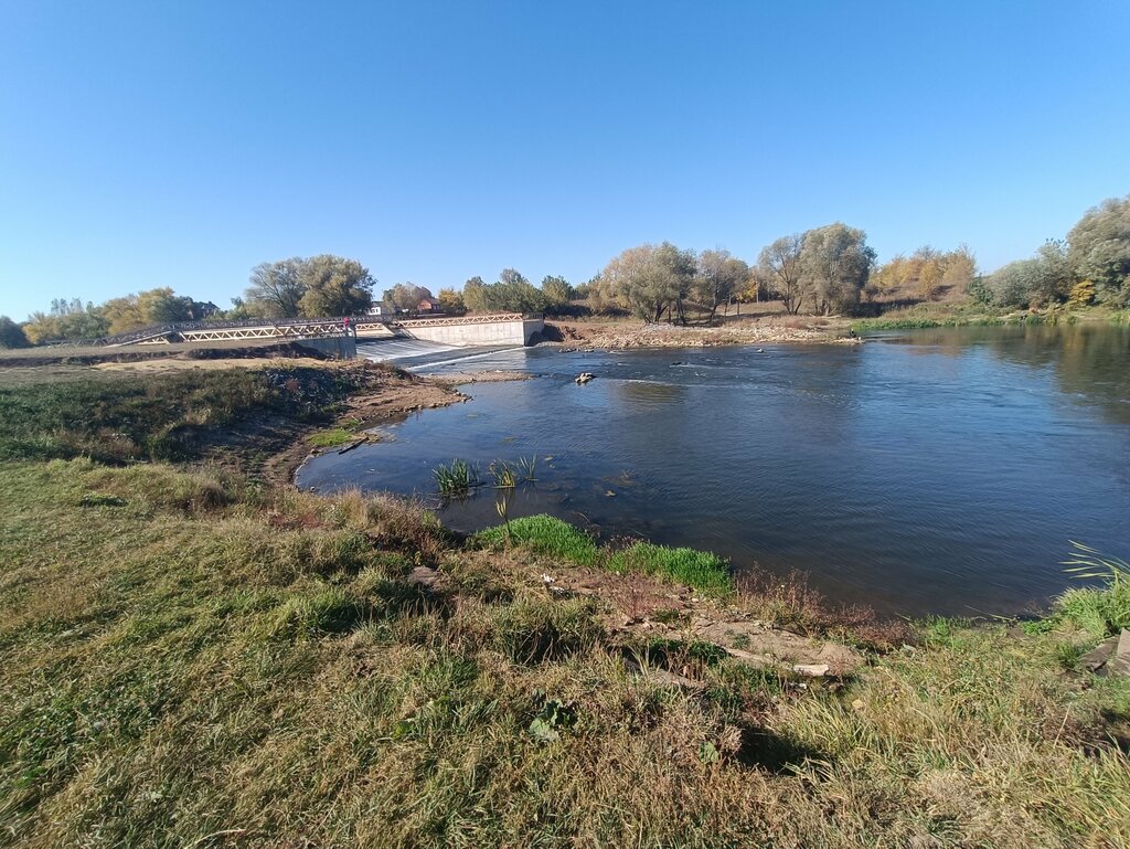 Orman урочище Струпенская Лука, Moskova ve Moskovskaya oblastı, foto