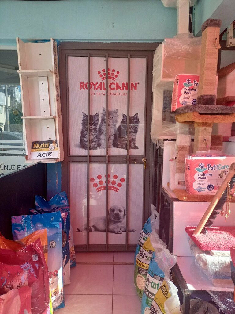 Petshop Nihal Pet Shop, Antalya, foto