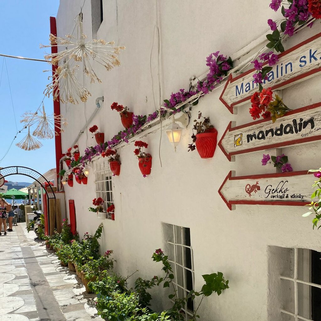 Feribot şirketi Didim Feribot, Didim, foto