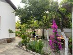 Guest House Family (2-y pereulok ulitsy Chanba No:33А), otel  Gagra'dan
