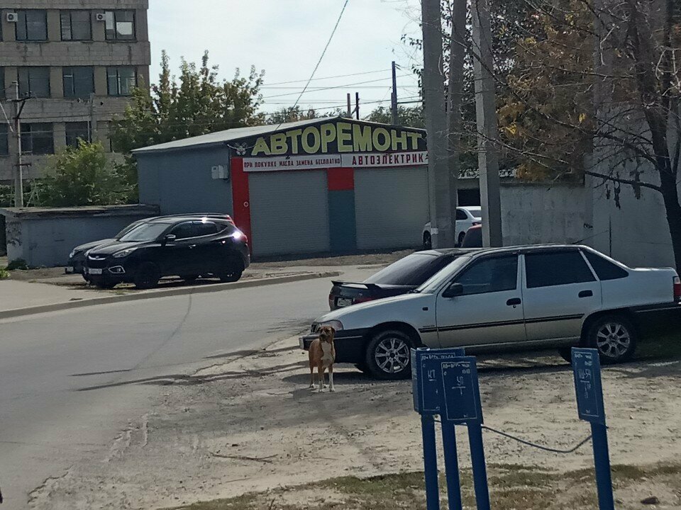 Otomobil servisi АвтоВыхлоп.рф, Volgograd, foto