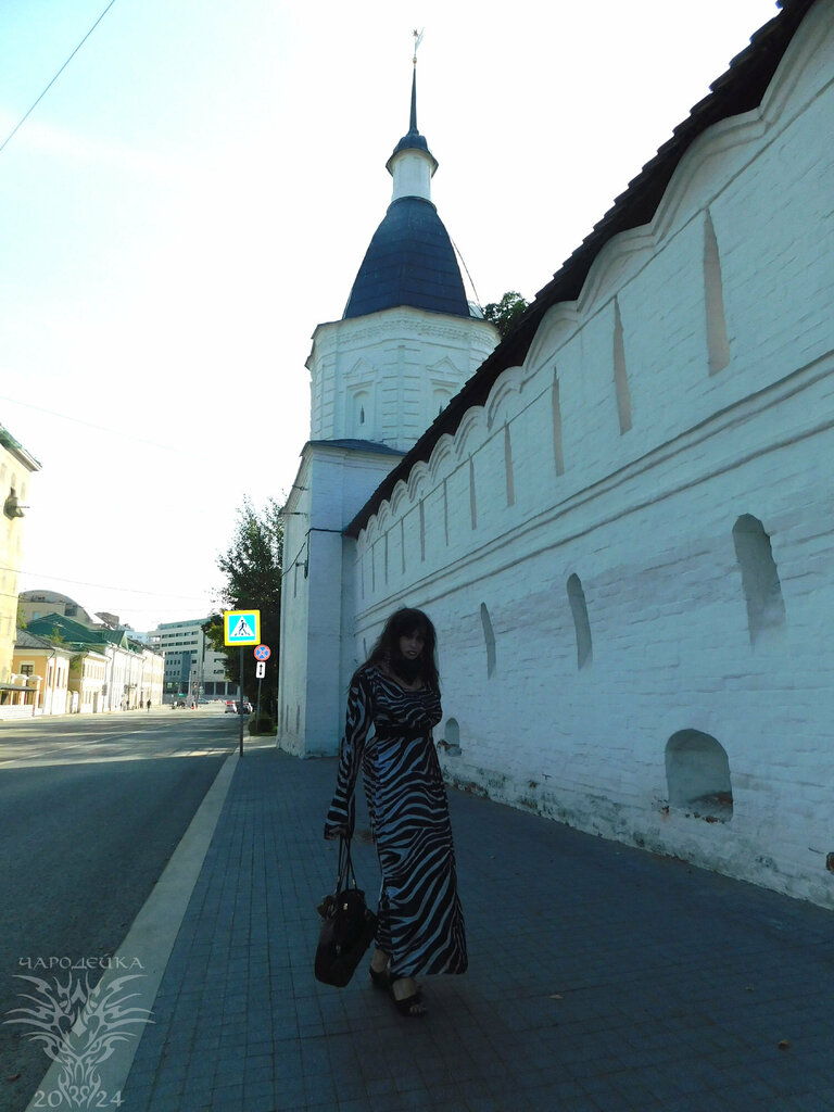 Turistik yerler Юго-восточная башня, Moskova, foto