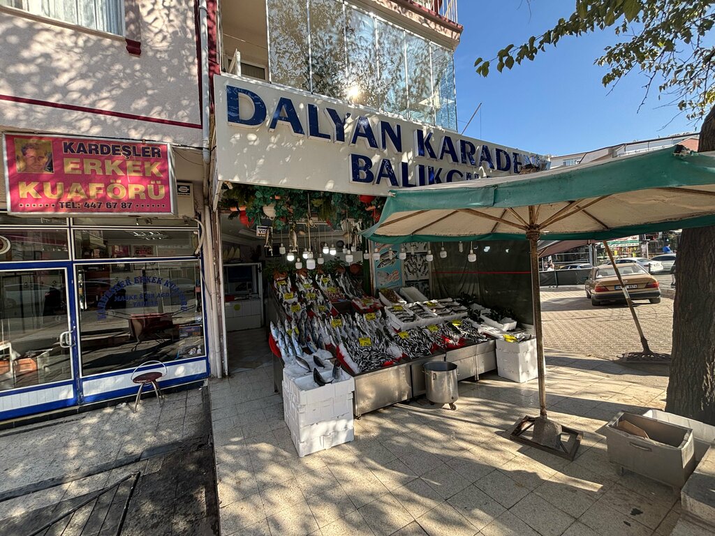 Balık çiftçiliği ve toptancıları Dalyan Karadeniz Balıkçılık, Ankara, foto