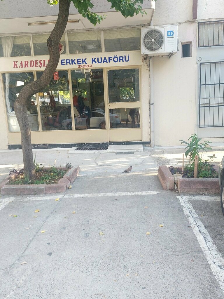 Berberler Kardeşler erkek kuaförü, Adana, foto