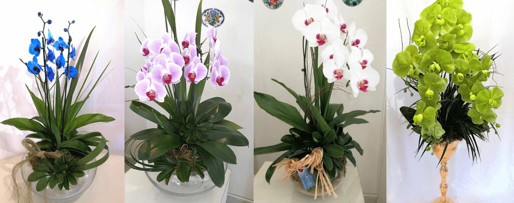 Hediyelik eşya mağazaları Floreria Rouge, Santa‑Krus, foto