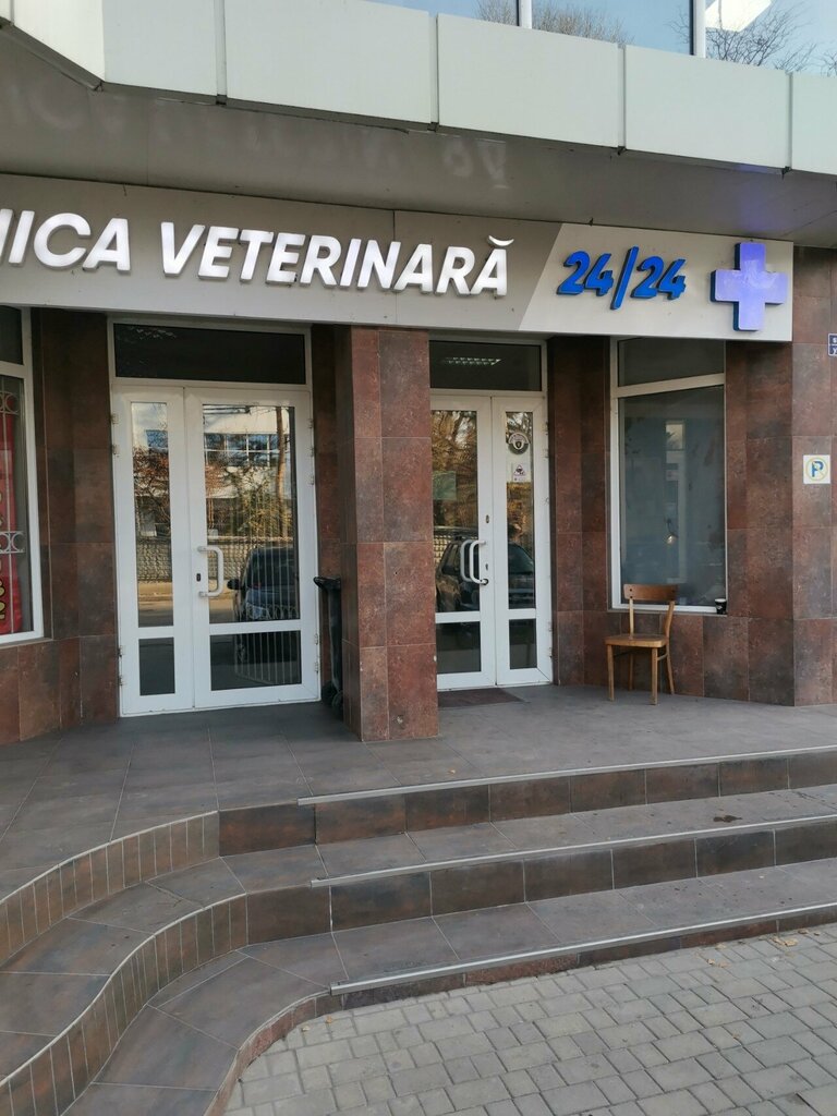 Veteriner klinikleri Zoo-Doctor, Beltsi, foto