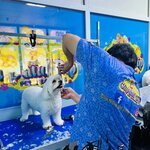 Clip And Dip (10, France-Q Street, France Cluster, Dubai International City, Mushraif, Dubai), petshop