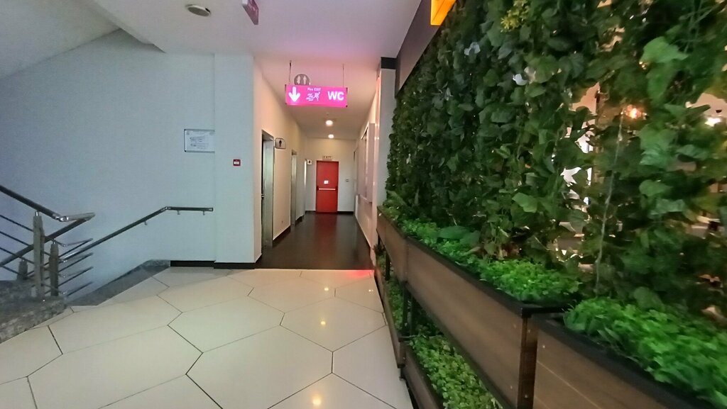 Engelliler için tuvalet Əlillər üçün tualet, Bakü, foto