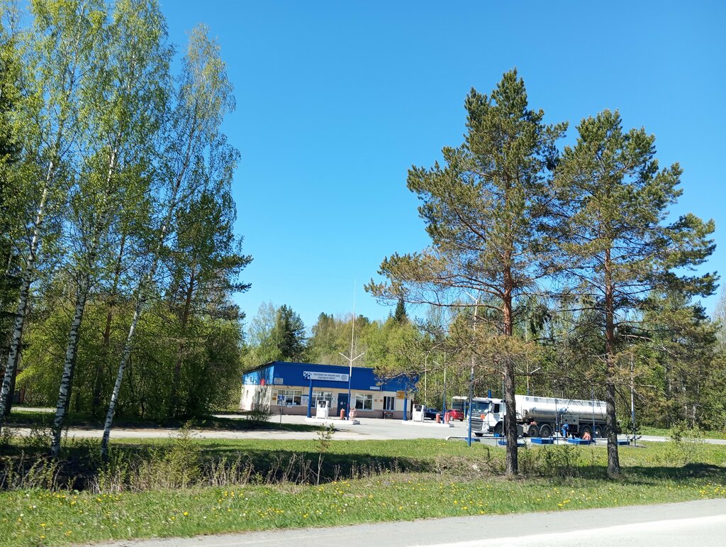 Benzin istasyonu Урал-Промобогрев, Sverdlovskaya oblastı, foto