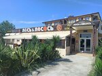 LosLosos (Subtropicheskaya ulitsa No:2, Sochi), restoran  Krasnodarski krayından