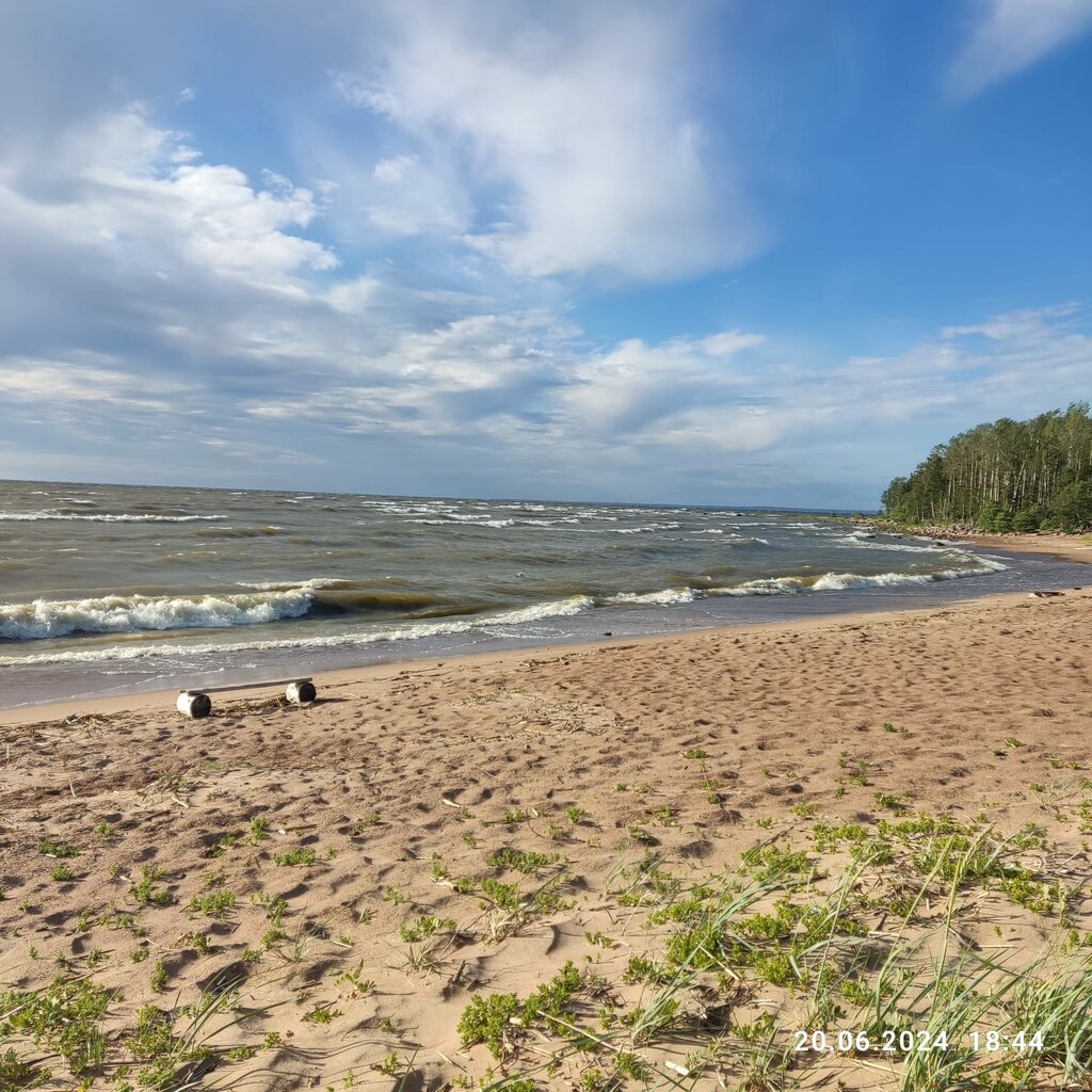 Resort oteller, tesisler Кандикюля, Saint‑Petersburg ve Leningradskaya oblastı, foto