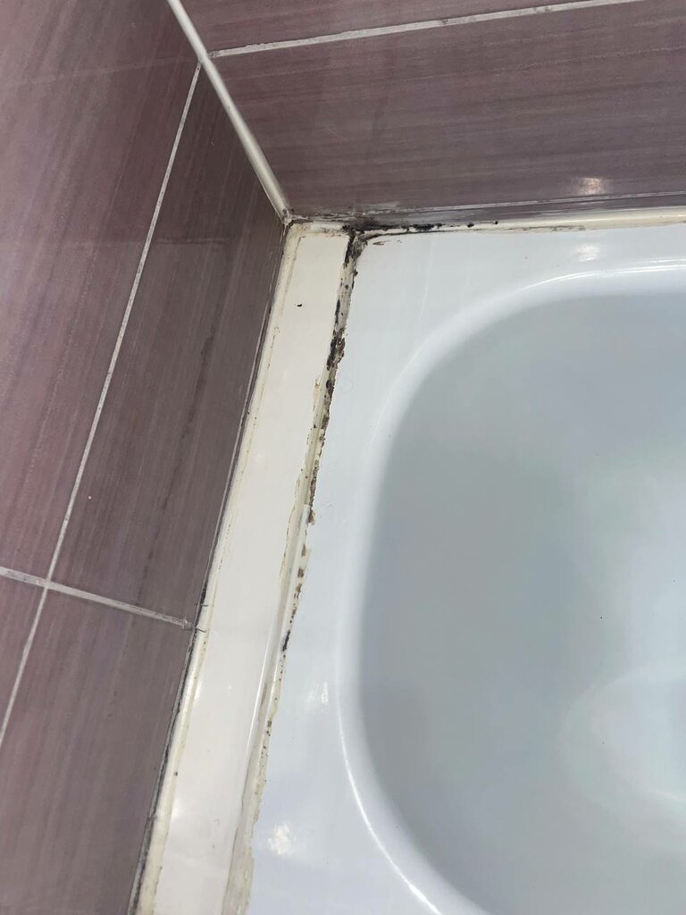 Otel Staro Petergofskiy, Saint‑Petersburg, foto