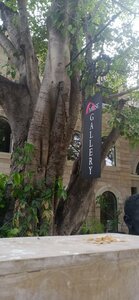 Muse Art Gallery (Province of Punjab, Lahore, Main Gulberg), sergi salonları, galeriler  Lahor'dan