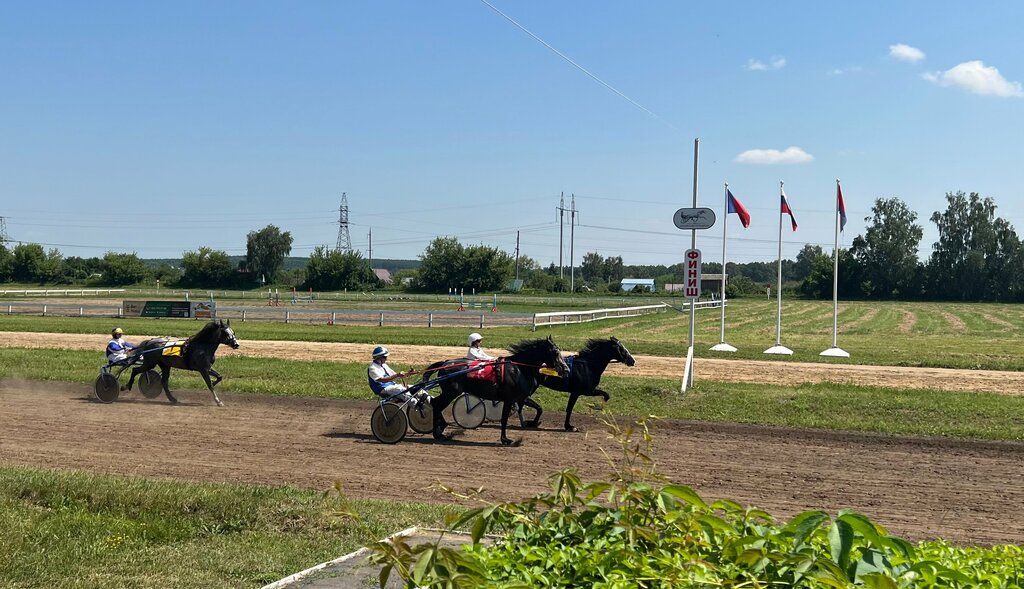 Hipodromlar Государственная заводская конюшня с ипподромом Орловская, Orel, foto