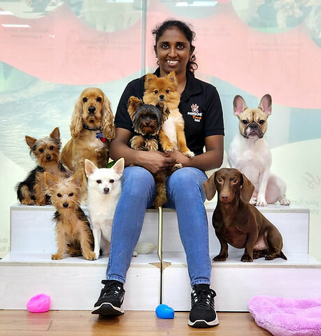 Pet otel Pawsome Friends Dog Daycare & Boarding Grooming Cattery Dog Training, Dubai, foto