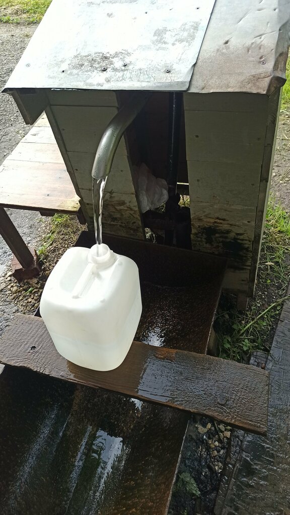 Pınar, çay Spring, stream, Kolçugino, foto